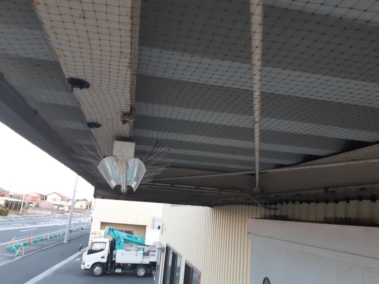 Https Www Hatoyoke Jp Column 2024 01 18 E7 8f Be E5 A0 B4 E5 86 99